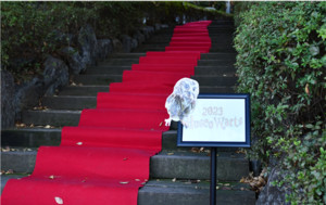 어느 날 마법 학교의 학생이 되었다? 2023 호서 와트(Hoseo Warts)